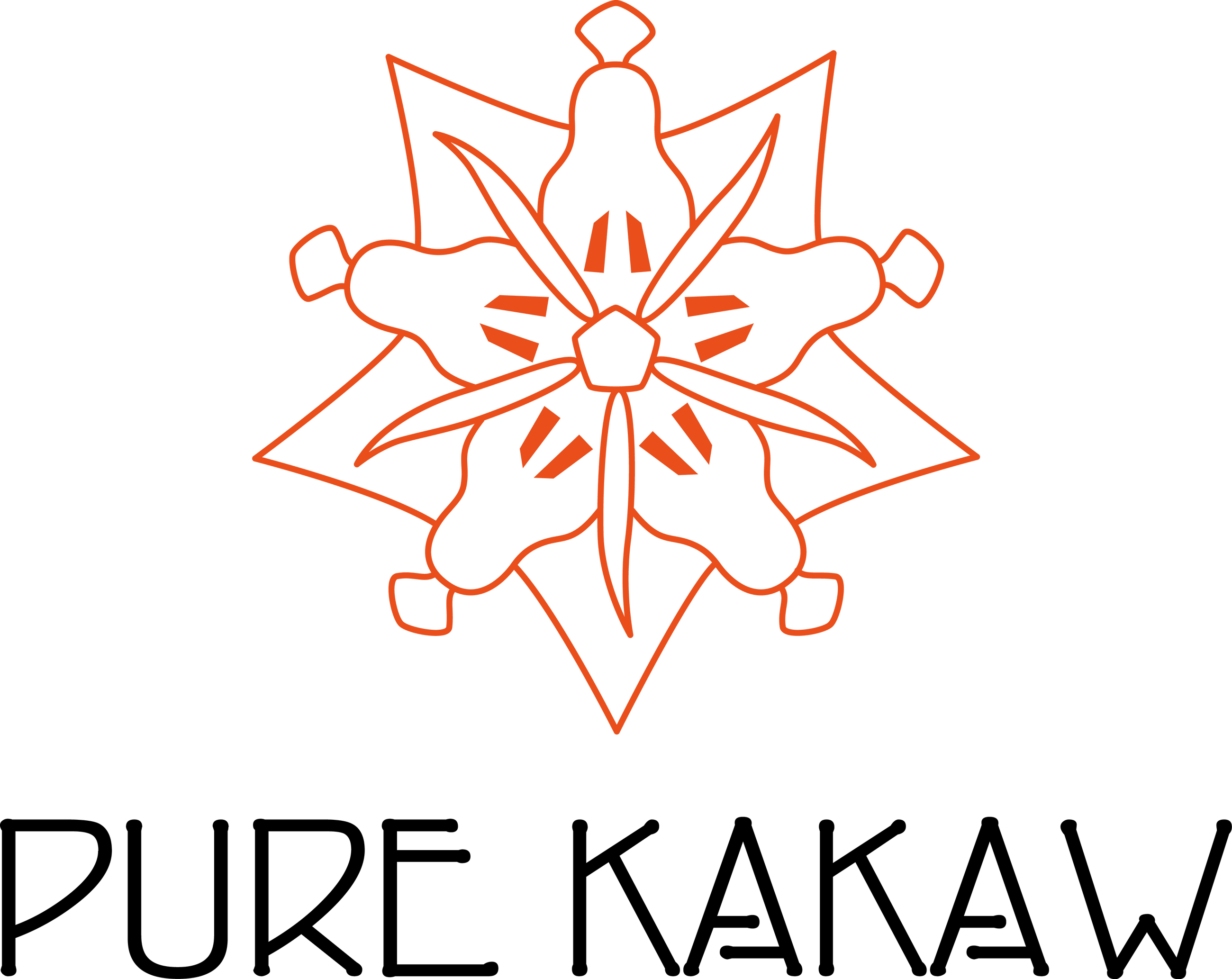 Vanilla Kakaw Drink – Pure Kakaw